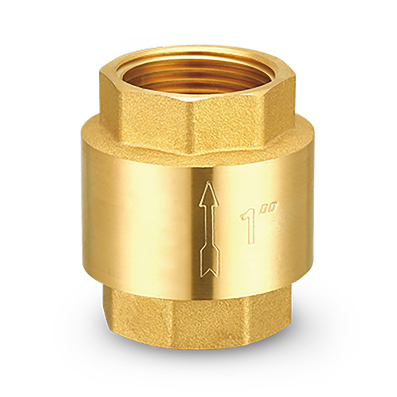 Brass Non Return Valve Manufacturer & Supplier - NAFCO